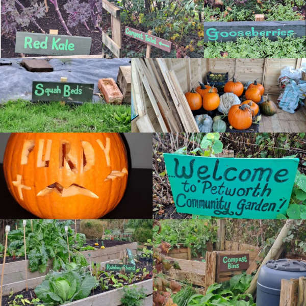 Purdy | Mechanical, electrical, building services, renewable energy